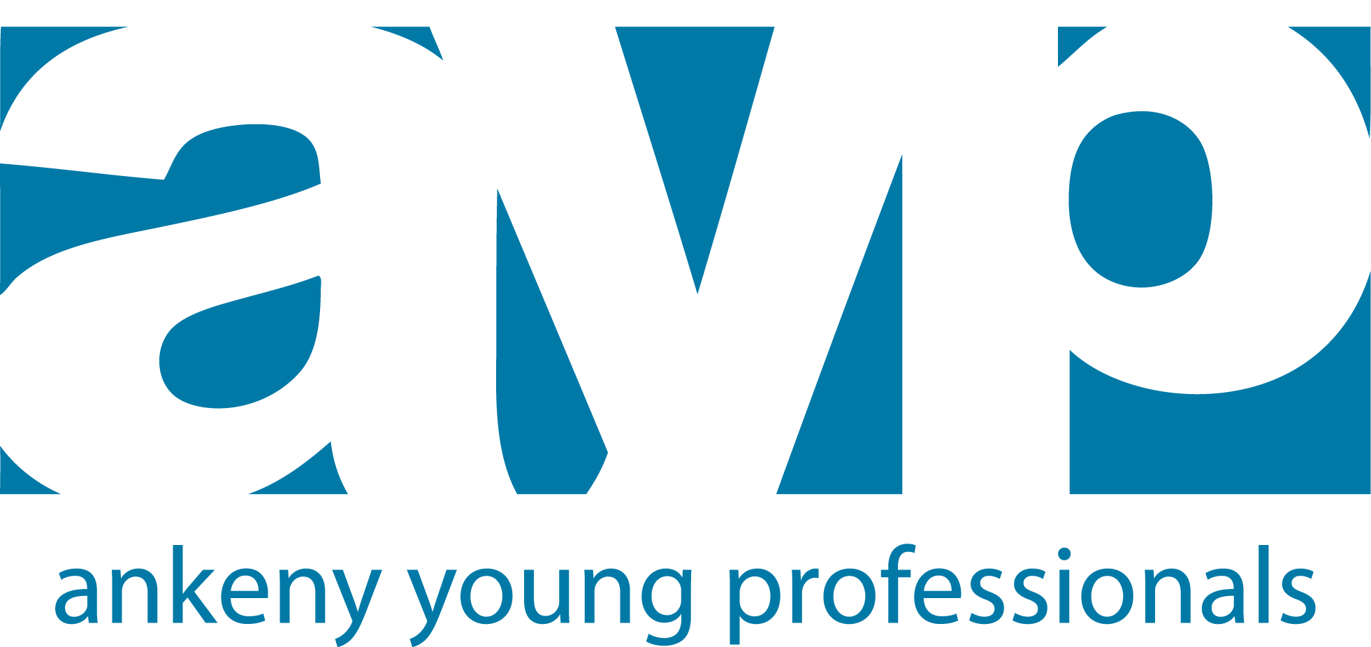 AYP Lunch & Learn: Executive Roundtable